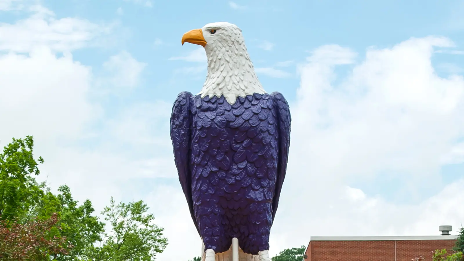Eagle Card Information | Ashland