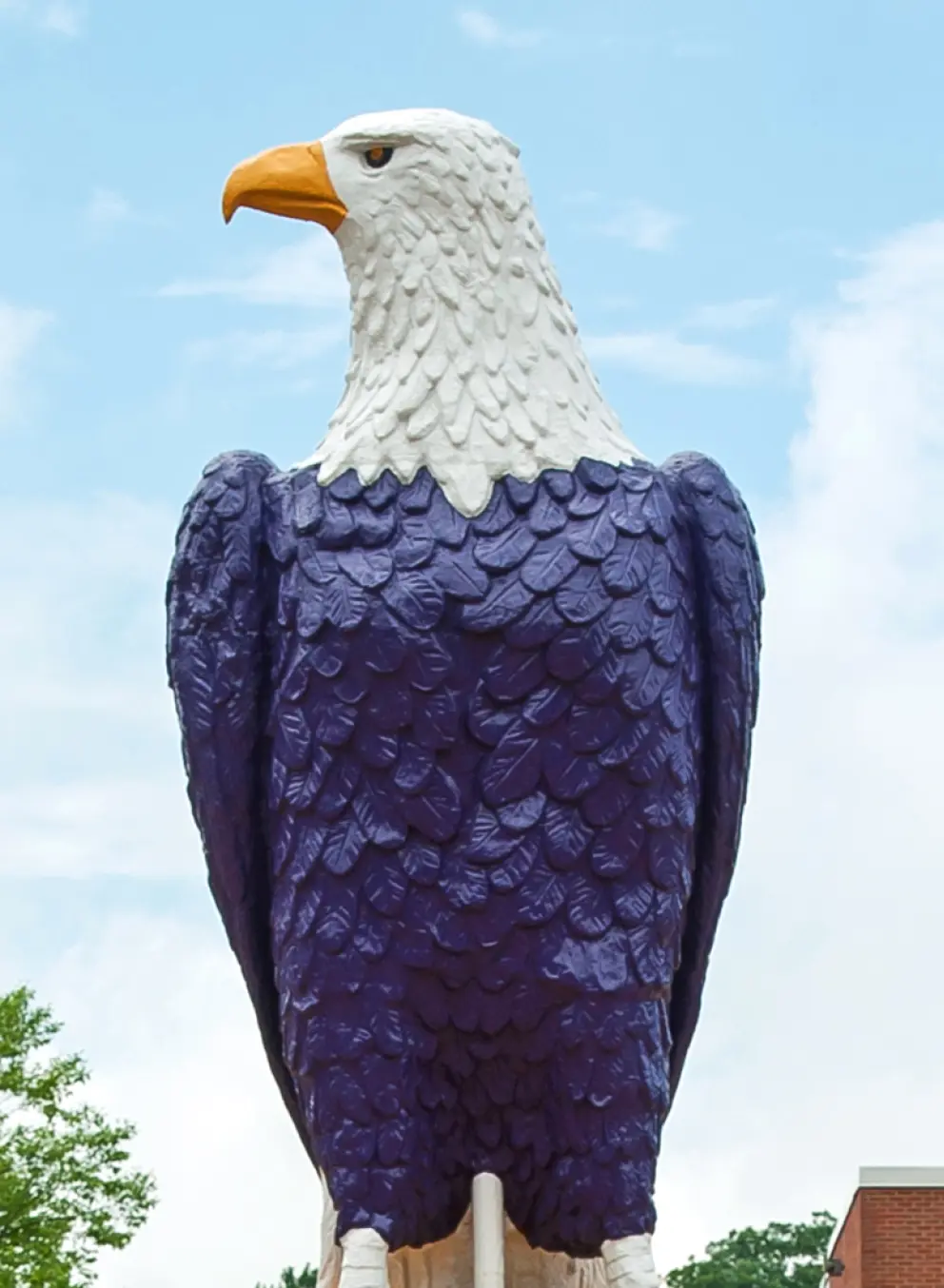 Eagle Card Information | Ashland