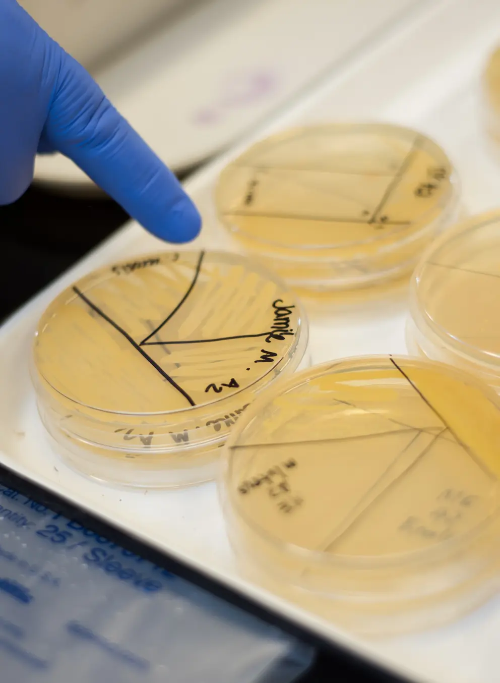 Toxicology - Bachelor's | Ashland