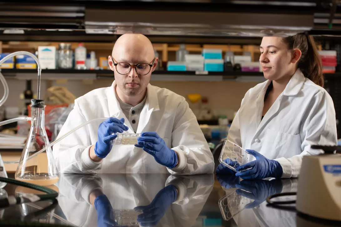 Toxicology - Bachelor's | Ashland